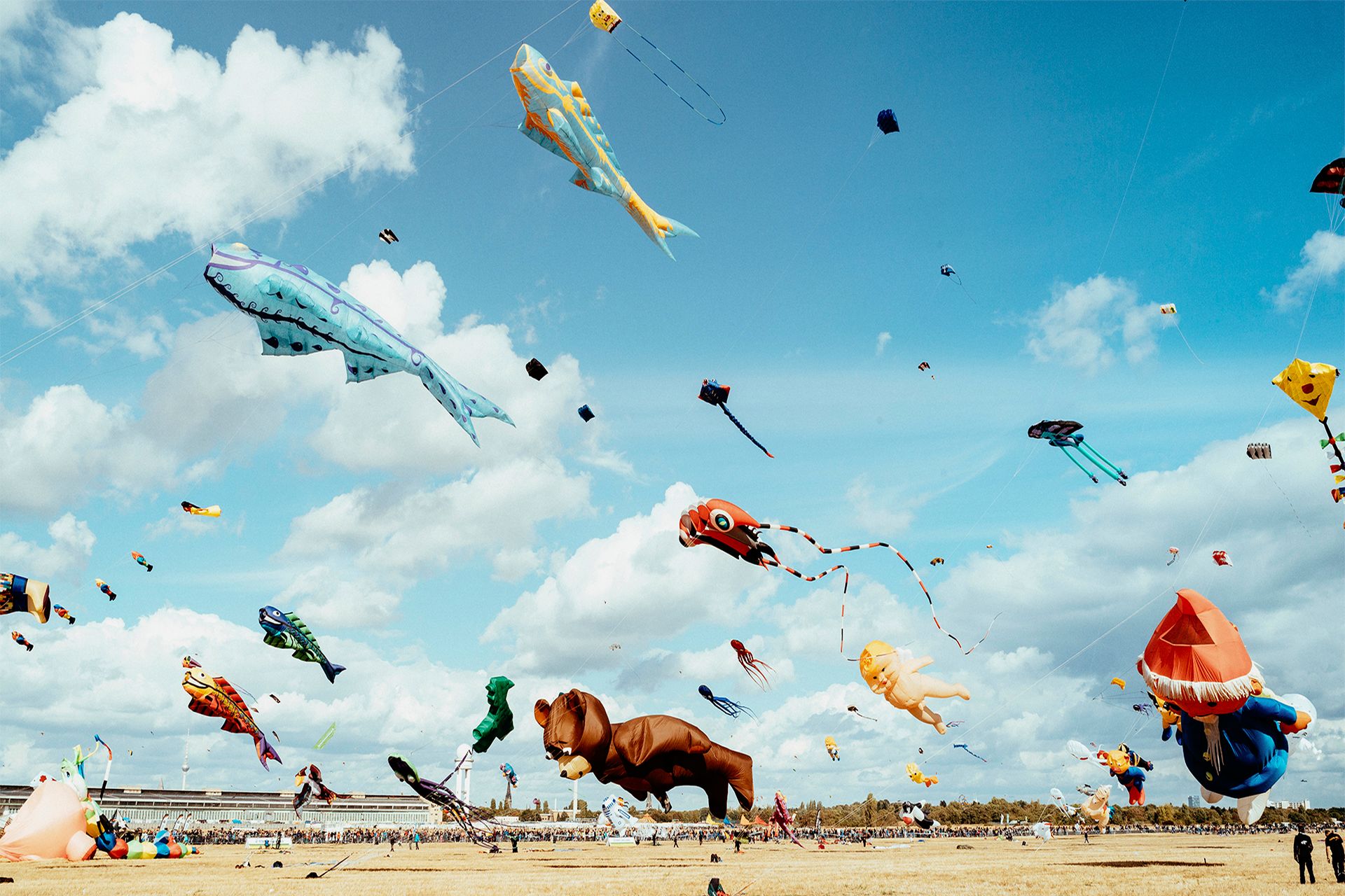 What are your benefits as an ING client?