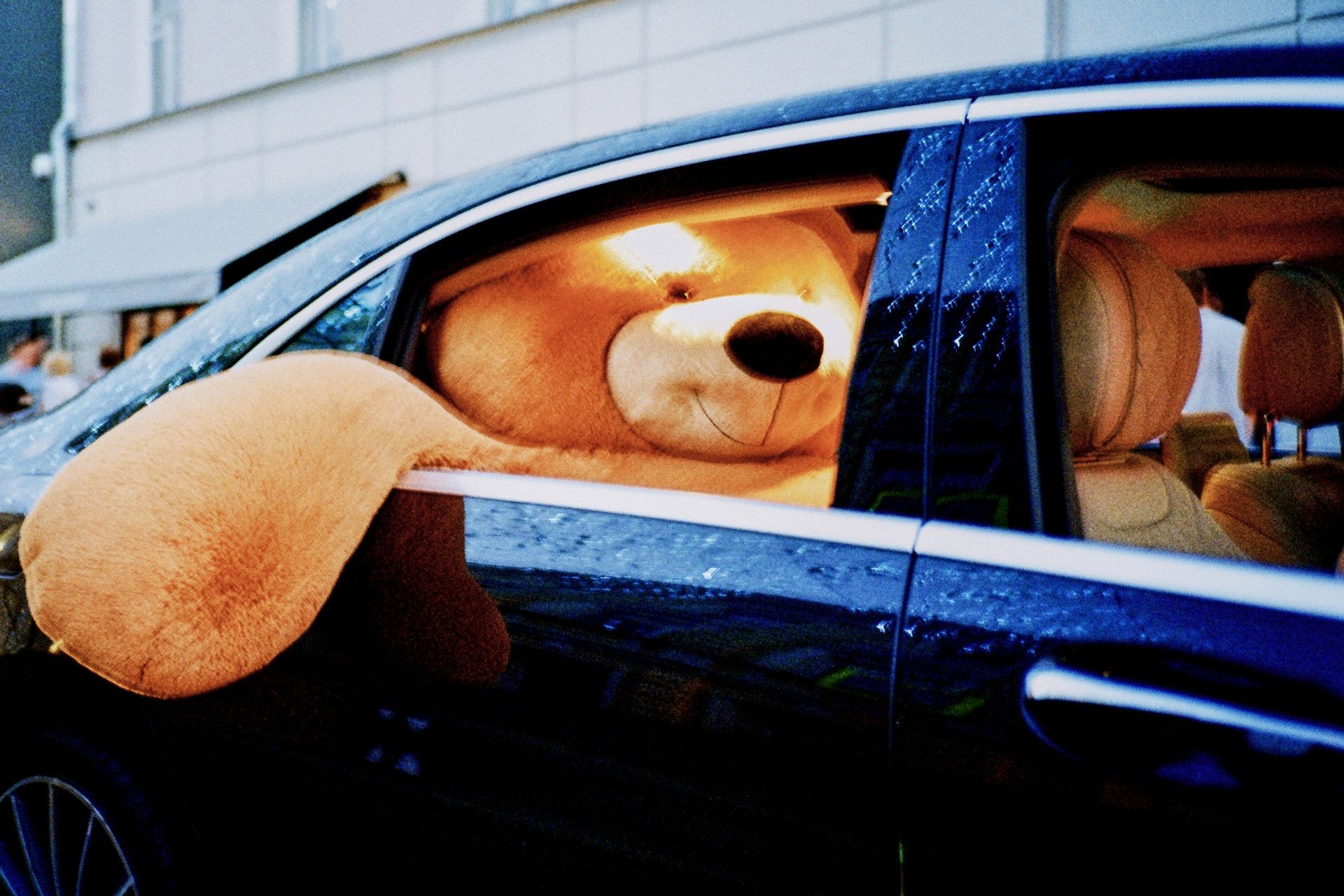 WA Casco Autoverzekering (Allrisk) - ING