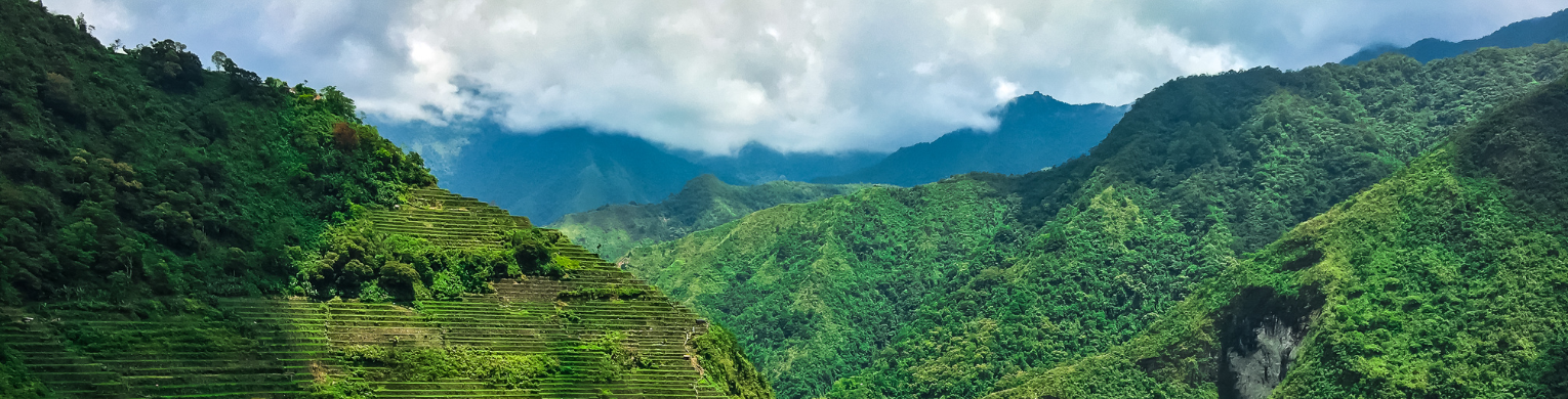 ING strengthens wholesale banking in the Philippines • ING