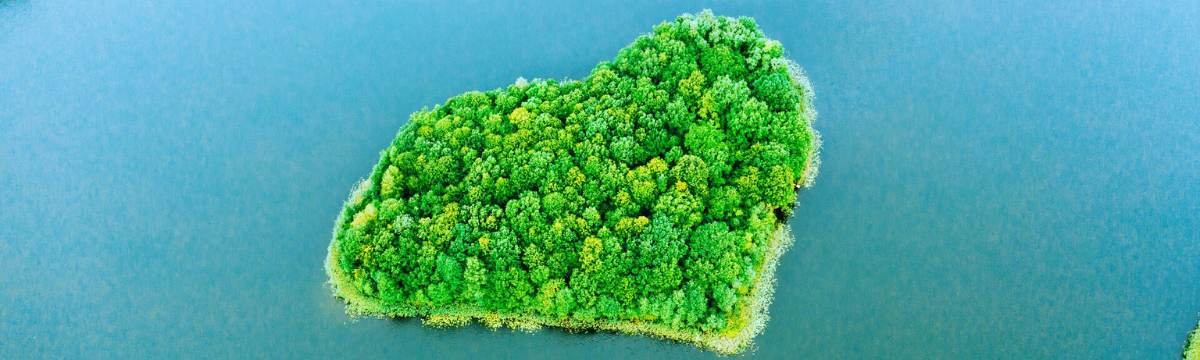 Clarity, connection and consistency: The key to unlocking sustainable ...