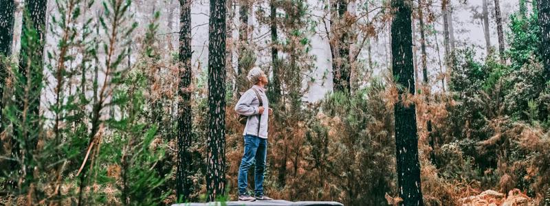 Welke autoverzekering past bij mij? - ING