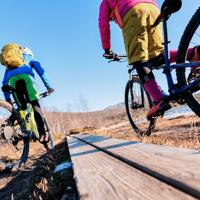 Bank & verzekeringen voor particulieren en bedrijven