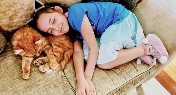 Transfer money - ING