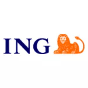 Corporate guidelines for ING logos