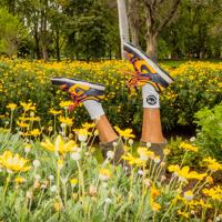 Internet banking with My ING - ING