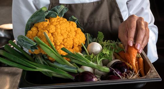 Bienvenue chez ING Private Banking