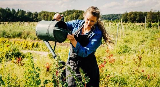 Épargner en tant que particulier