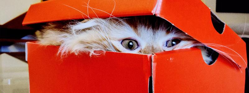 Mijn betaalpas - ING